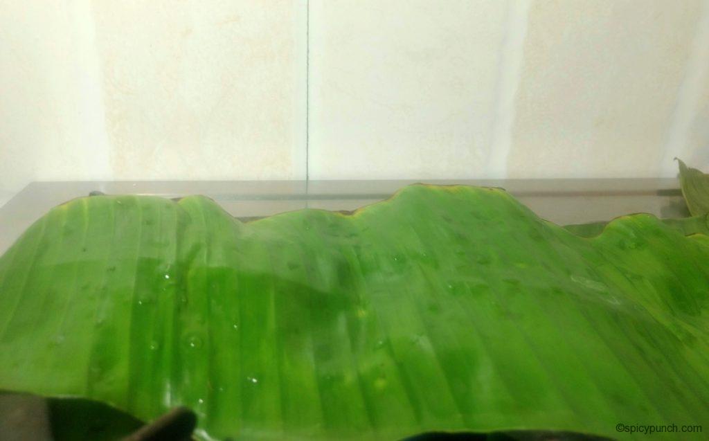 Bhetki macher paturi recipe | Bhetki(barramundi fish) paturi recipe