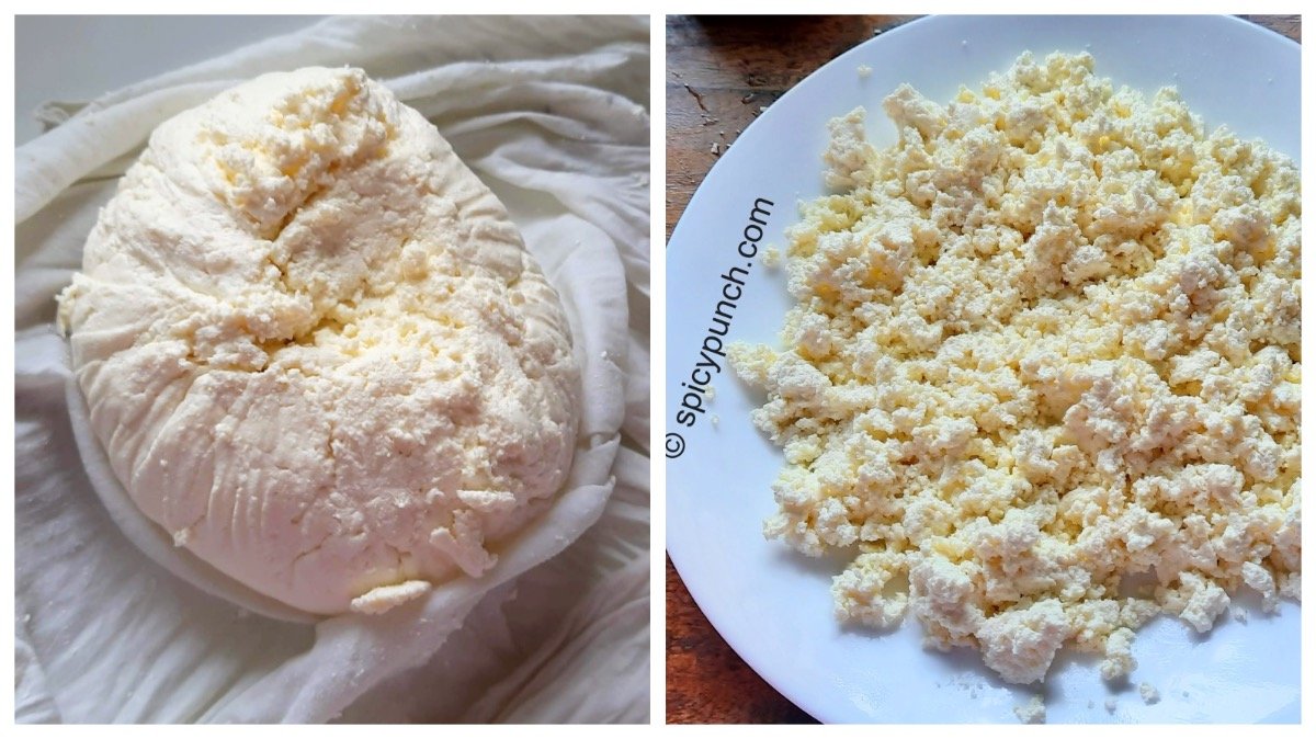 Kacha Golla - a delicious Bengali Sandesh recipe - Spicy punch